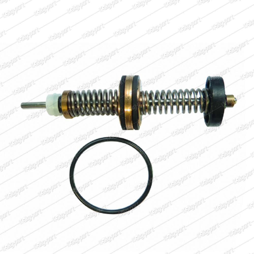 Vaillant VCK Boiler Repair Kit - 020689 Wholesale